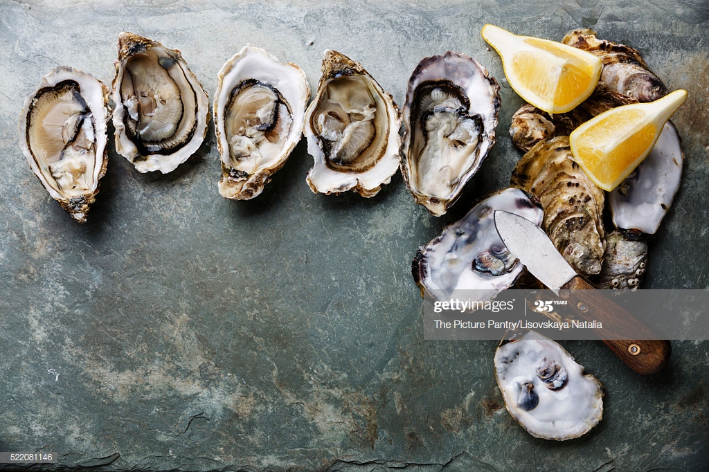 🔥 [10+] Oyster Backgrounds | WallpaperSafari