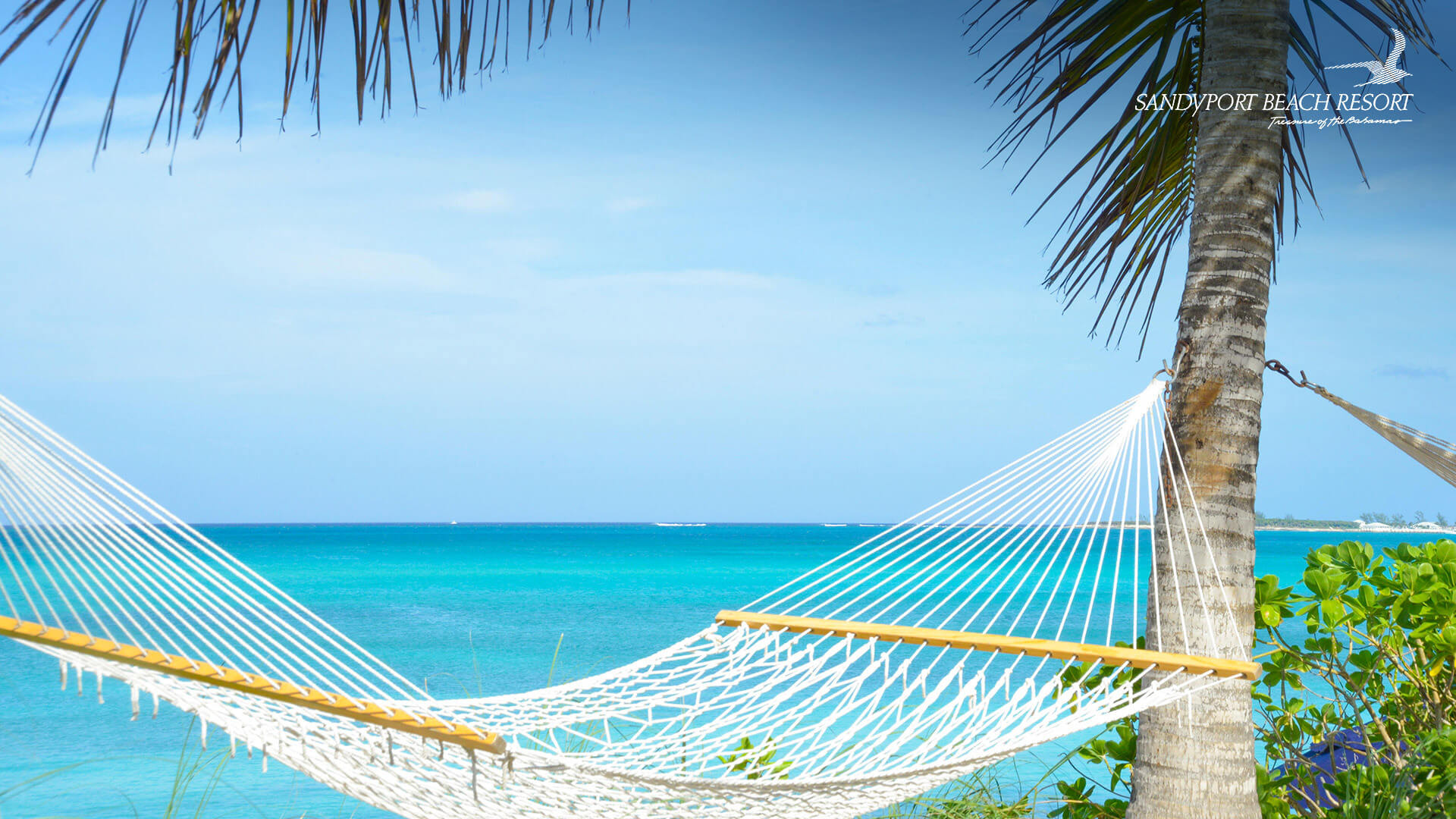 🔥 [10+] Bahamian Backgrounds | WallpaperSafari