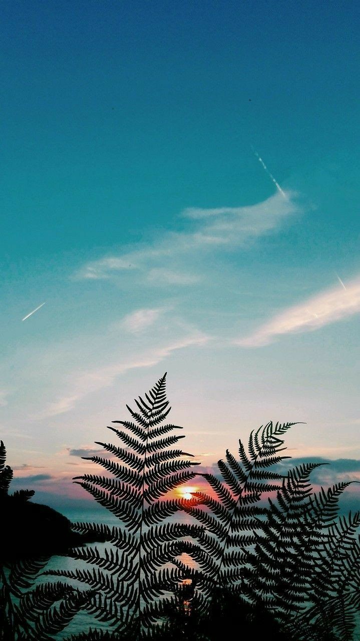 Free Download IPhone Lock Screen Wallpapers On 719x1280 For Your 