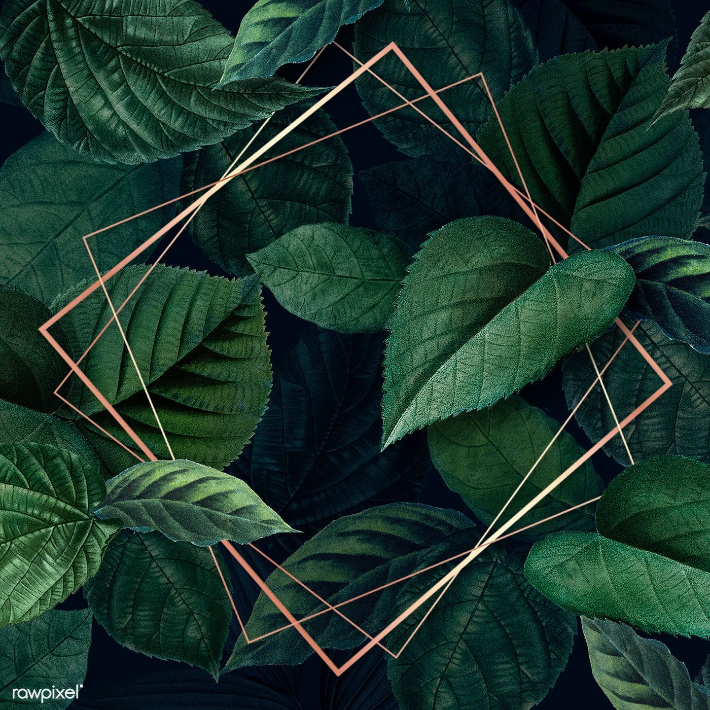 🔥 Free Download Premium Illustration Of Rhombus Frame On A Leafy by ...