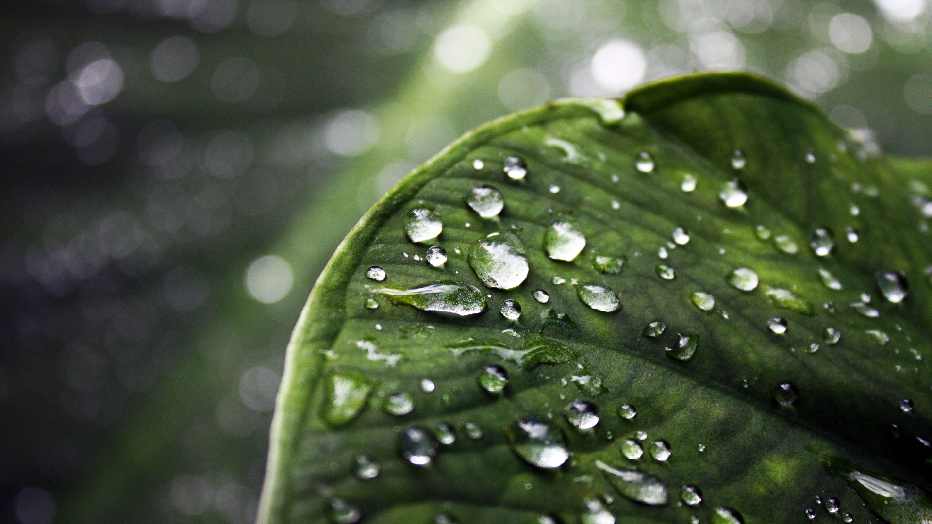  Download Full HD Wallpaper 1080p By samuelj82 Full 1080p Hd