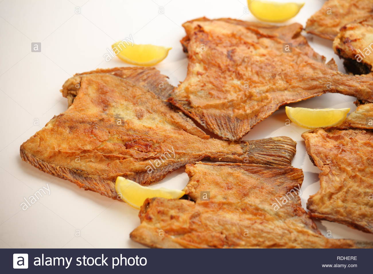 [40+] Flounder Backgrounds | WallpaperSafari