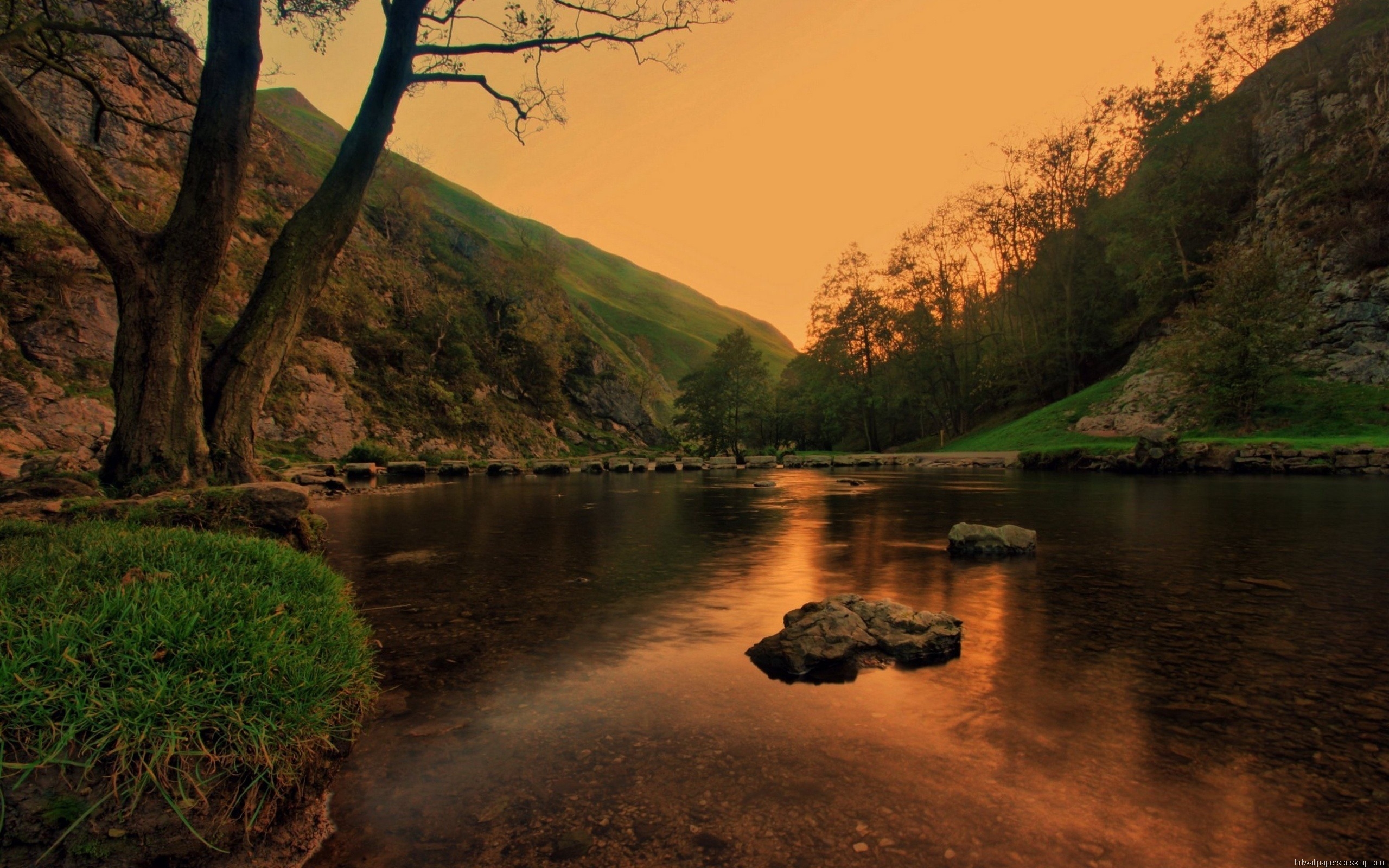 Free Download Photography Wallpaper HD Widescreen Photo Desktop 