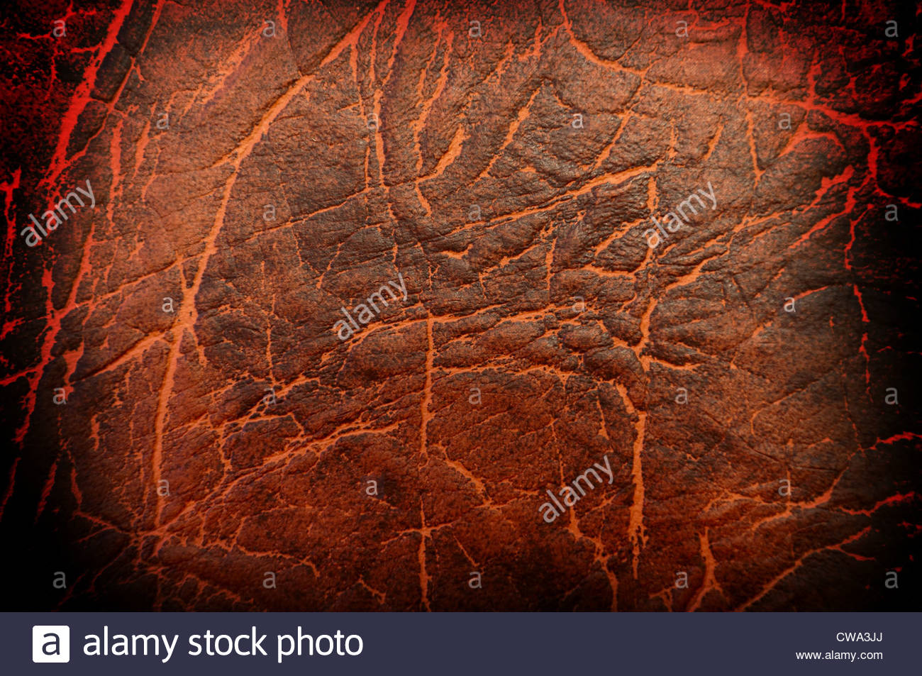 [42+] Rawhide Background on WallpaperSafari