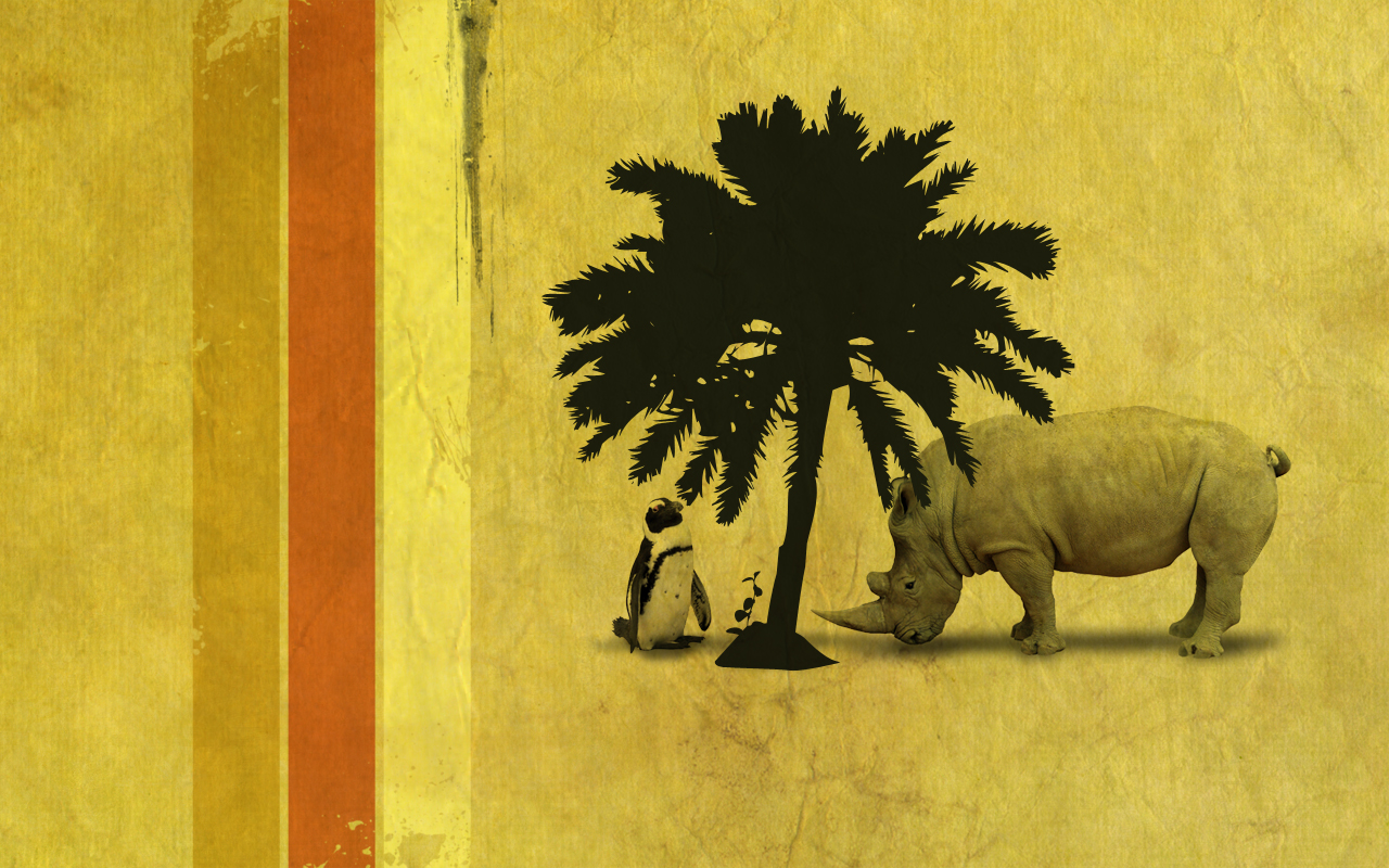 African Inspired Wallpaper Borders at Seth Rudall blog African Inspired Wallpaper Borders at Seth Rudall blog