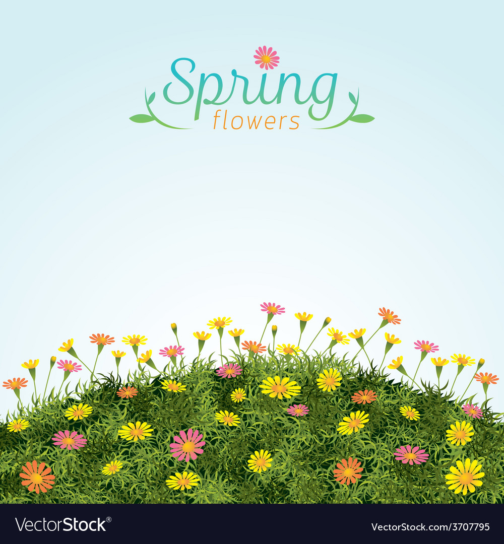 [36+] Springy Backgrounds | WallpaperSafari