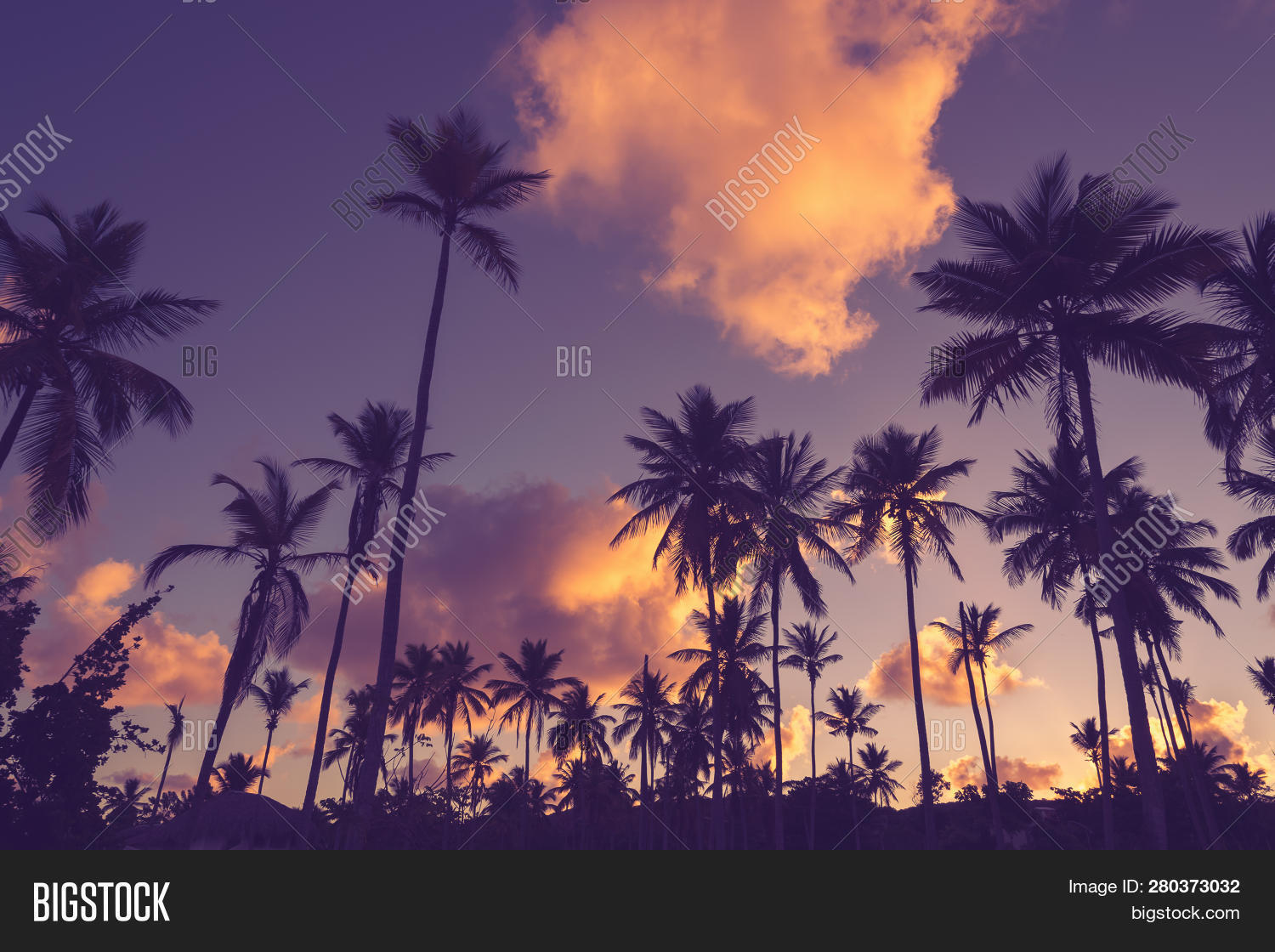 [46+] Sundown Backgrounds | WallpaperSafari