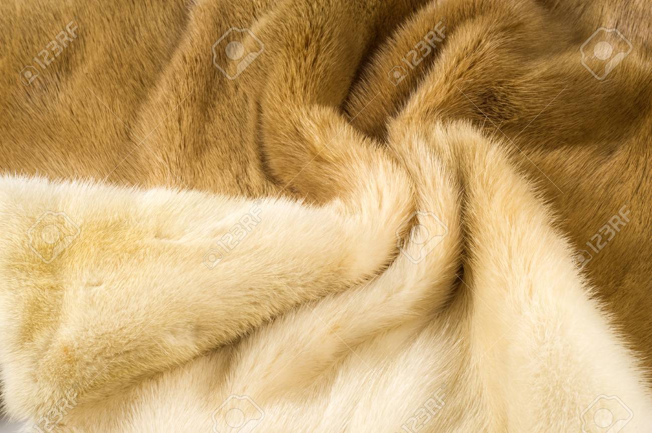 🔥 [26+] Mink Background | WallpaperSafari