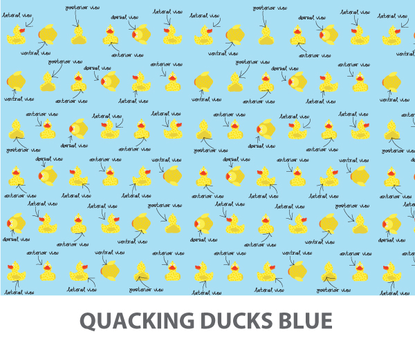 🔥 Free Download Quacking Ducks Wallpaper Pop And Lolli by @heatherc88 ...