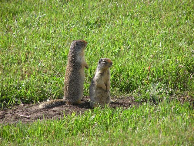 🔥 Free Download Wallpaper Imghd Browse And Image by @samanthag86 ...