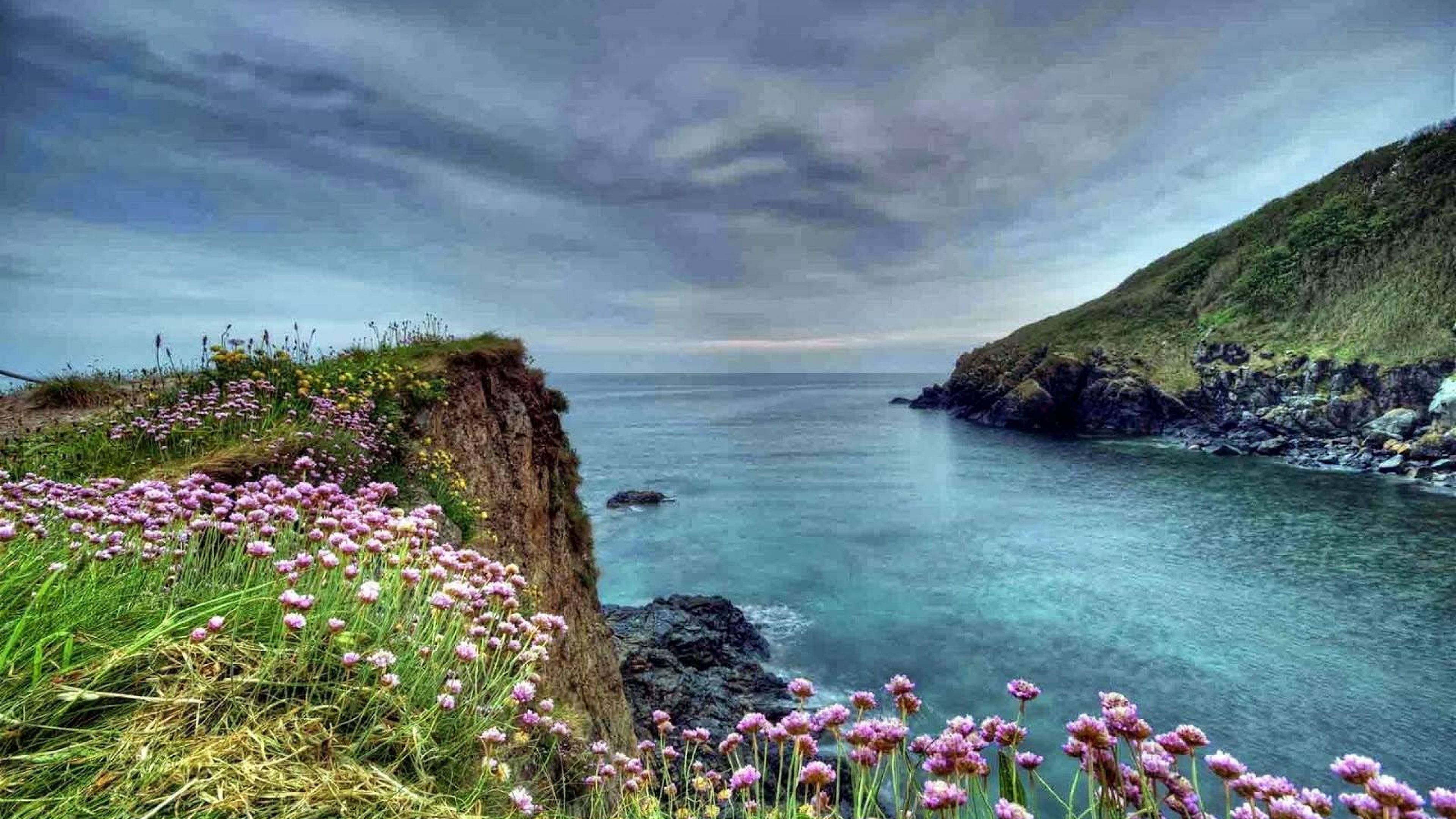 🔥 Free Download Nature Beauty Wallpaper | WallpaperSafari