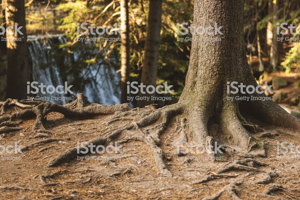 [50+] Crooked Backgrounds on WallpaperSafari