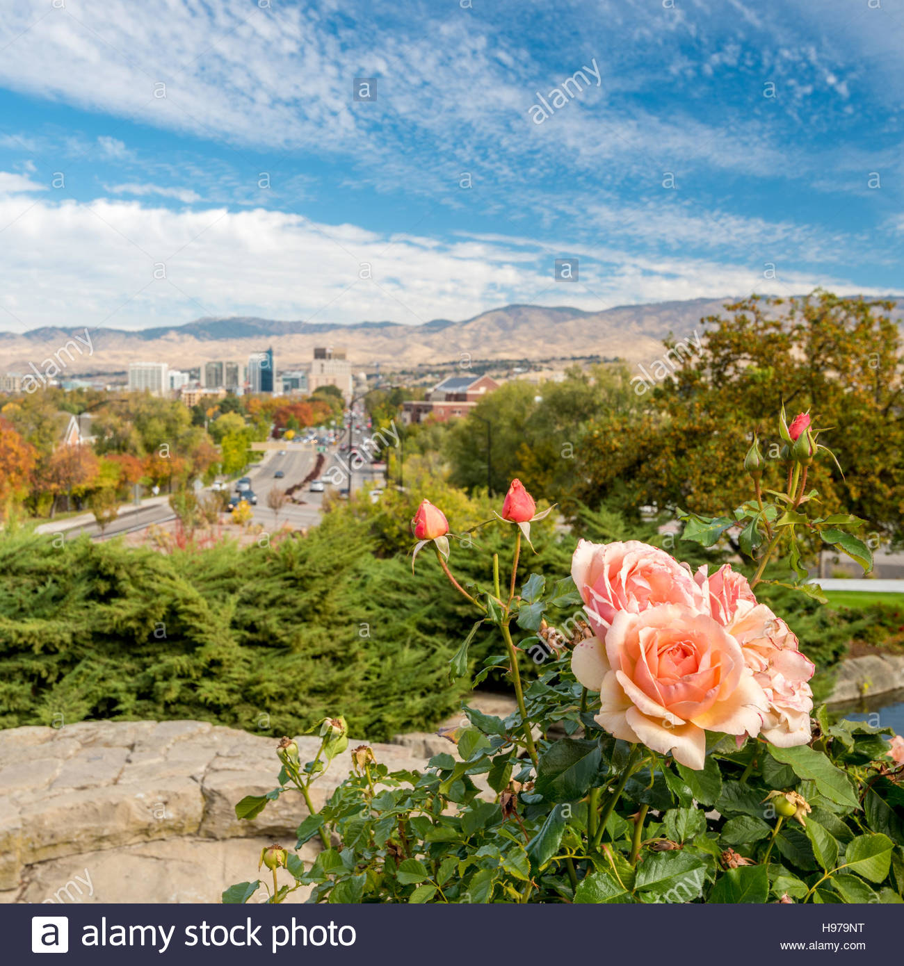 [49+] Boise Background on WallpaperSafari