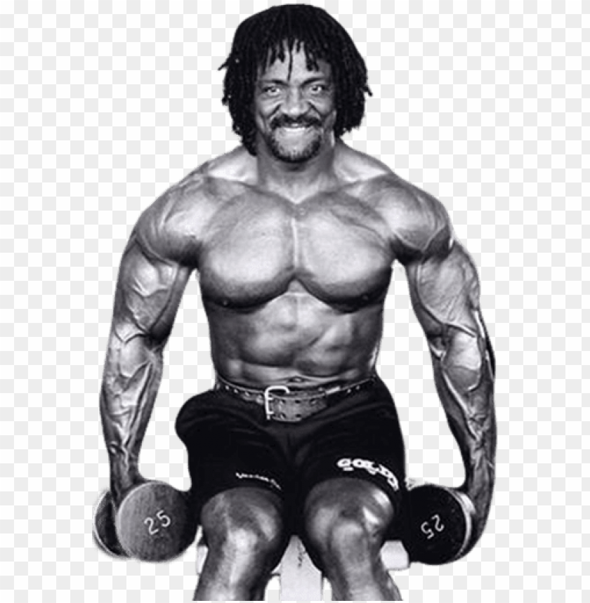 🔥 Free Download The Fundamentals Of Bodybuilding And Physique Sculpting ...