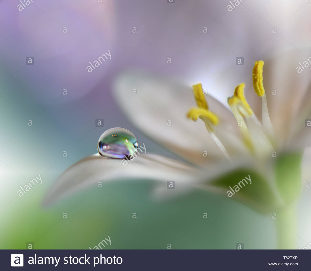 Free download Pure Blue 4K Wallpapers Top Pure Blue 4K Backgrounds ...