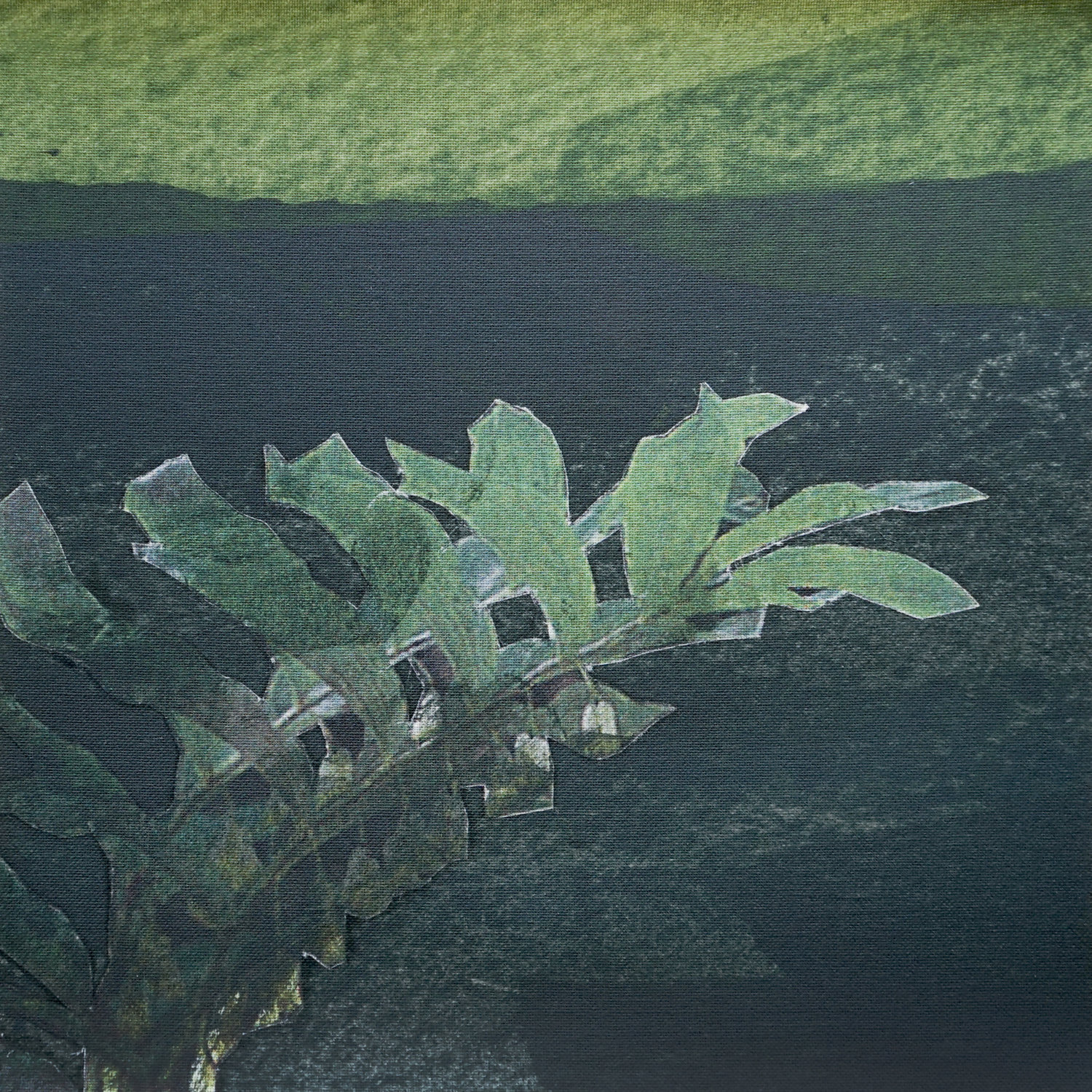 🔥 [40+] Moors Wallpapers | WallpaperSafari