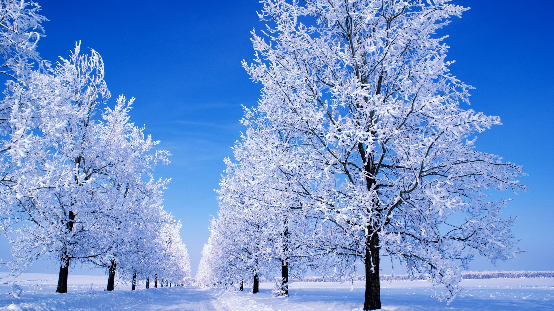 🔥 [109+] Free Winter Snow Scenes Wallpapers | WallpaperSafari