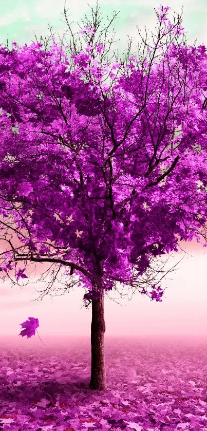 🔥 Free Download Purple Tree Wallpaper by @michelled49 | WallpaperSafari