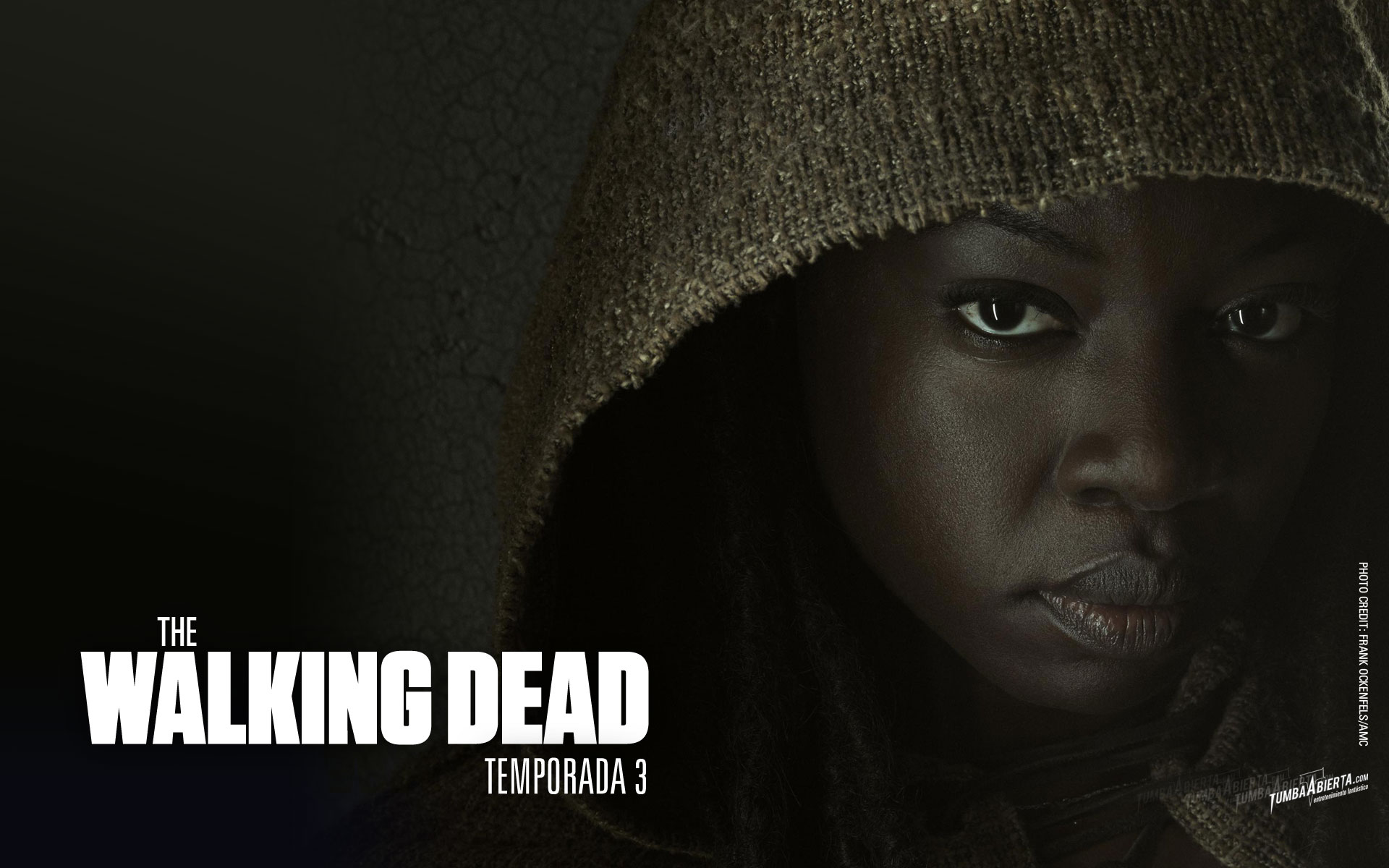 🔥 [50+] Screensavers and Wallpapers Walking Dead | WallpaperSafari