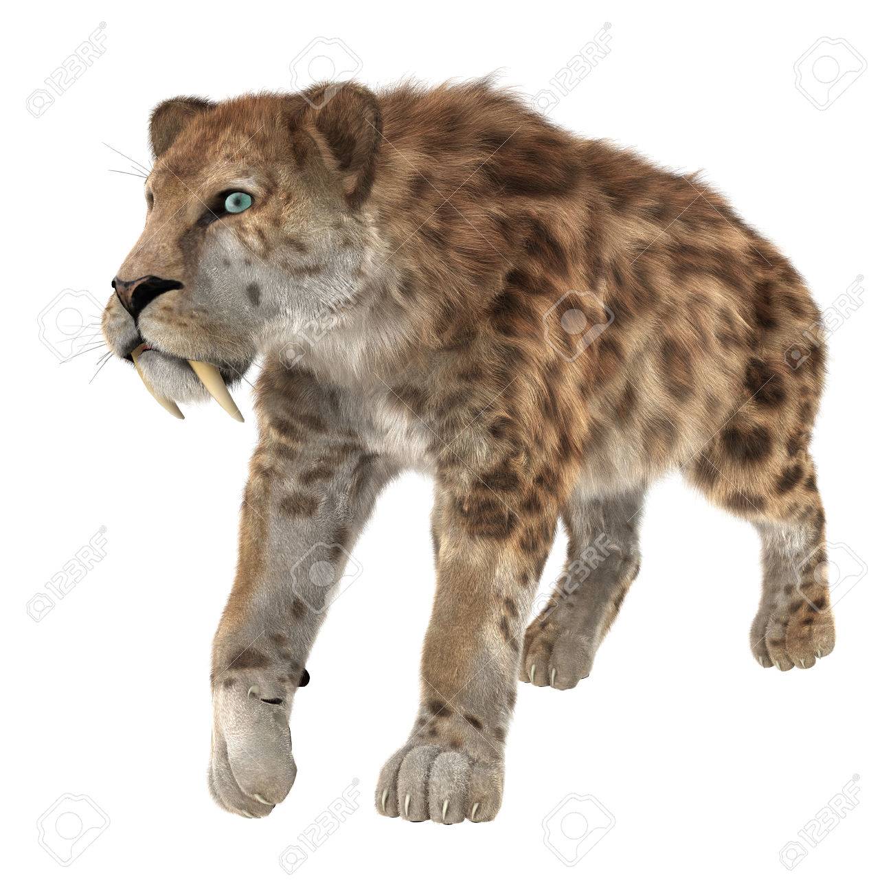 [29+] Smilodon Backgrounds | WallpaperSafari