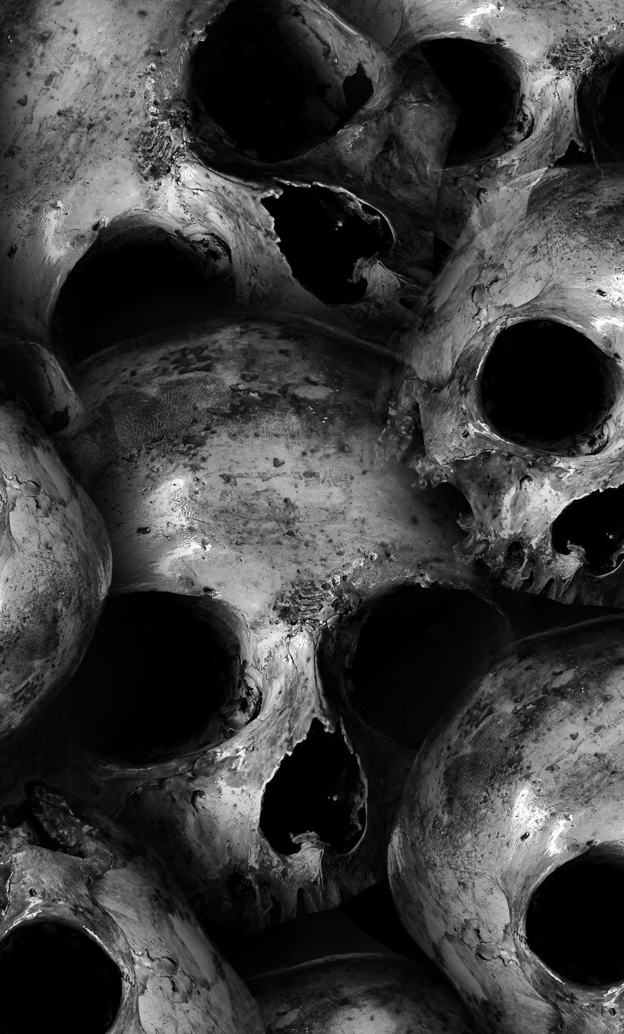 🔥 [40+] Skull Iphone Wallpapers | WallpaperSafari
