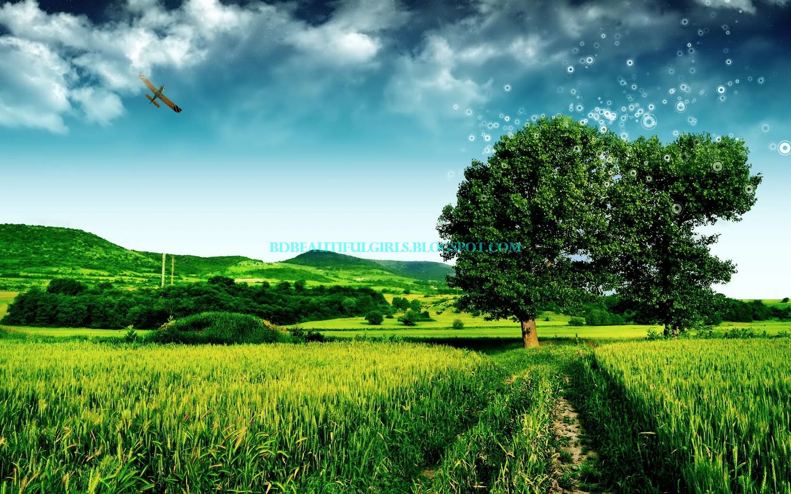 Free Download HighDefinitionHDdesktopwindows7XPfreewallpaper282529jpg 
