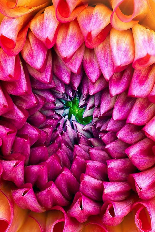 🔥 [40+] New iMac Wallpapers | WallpaperSafari