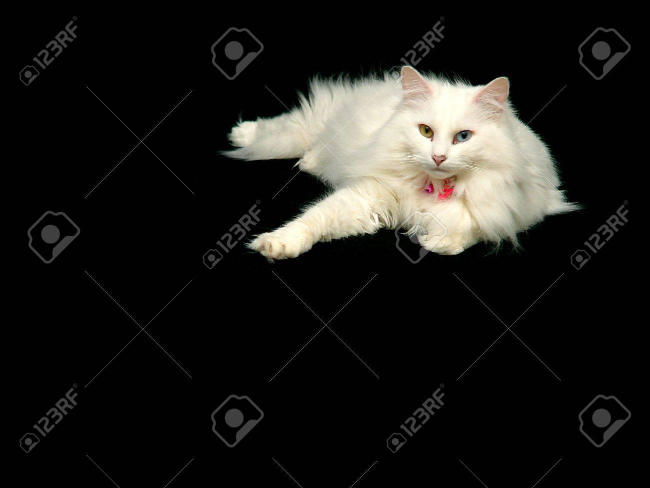 [34+] Mismatched Backgrounds | WallpaperSafari