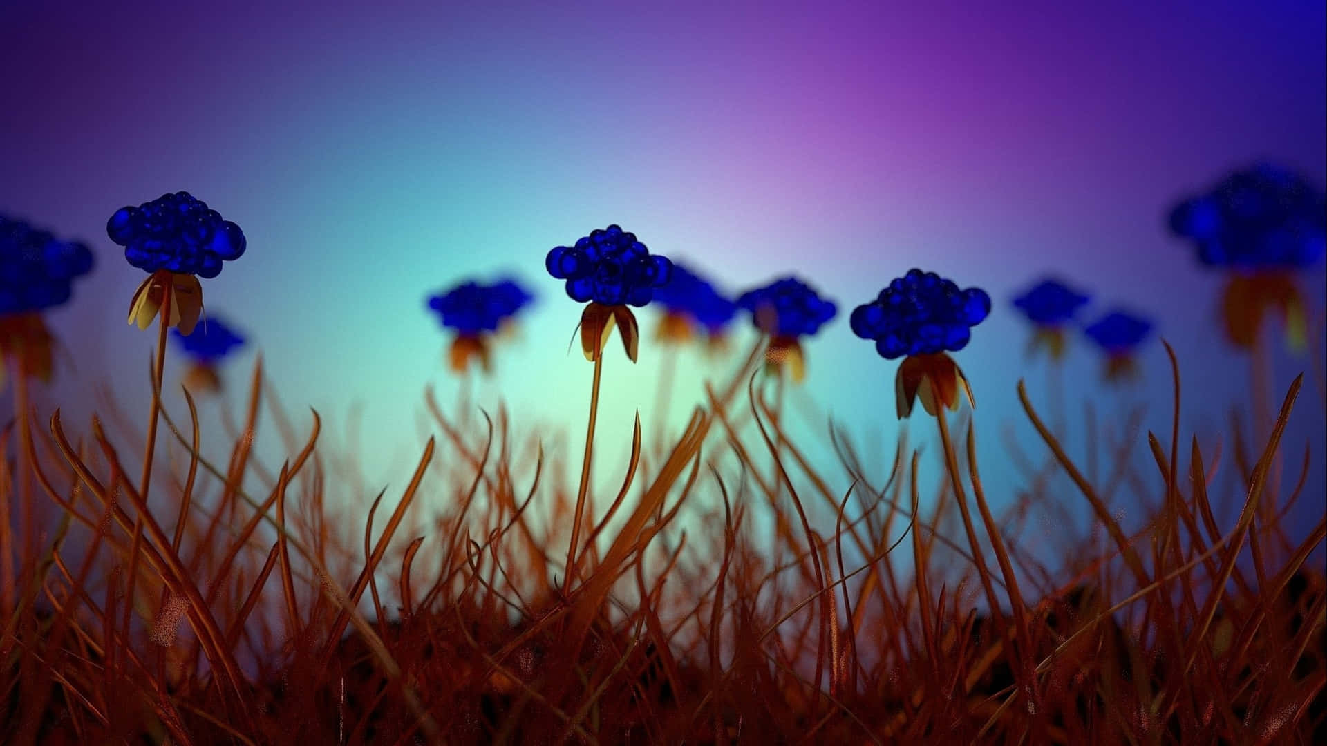 🔥 Free Download Wildflowers Bf3Z21Z7Sd2Jakck Wallpaper by @dwaynej ...
