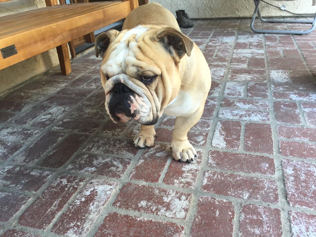 🔥 [30+] SUPEReeeGO Wallpapers | WallpaperSafari