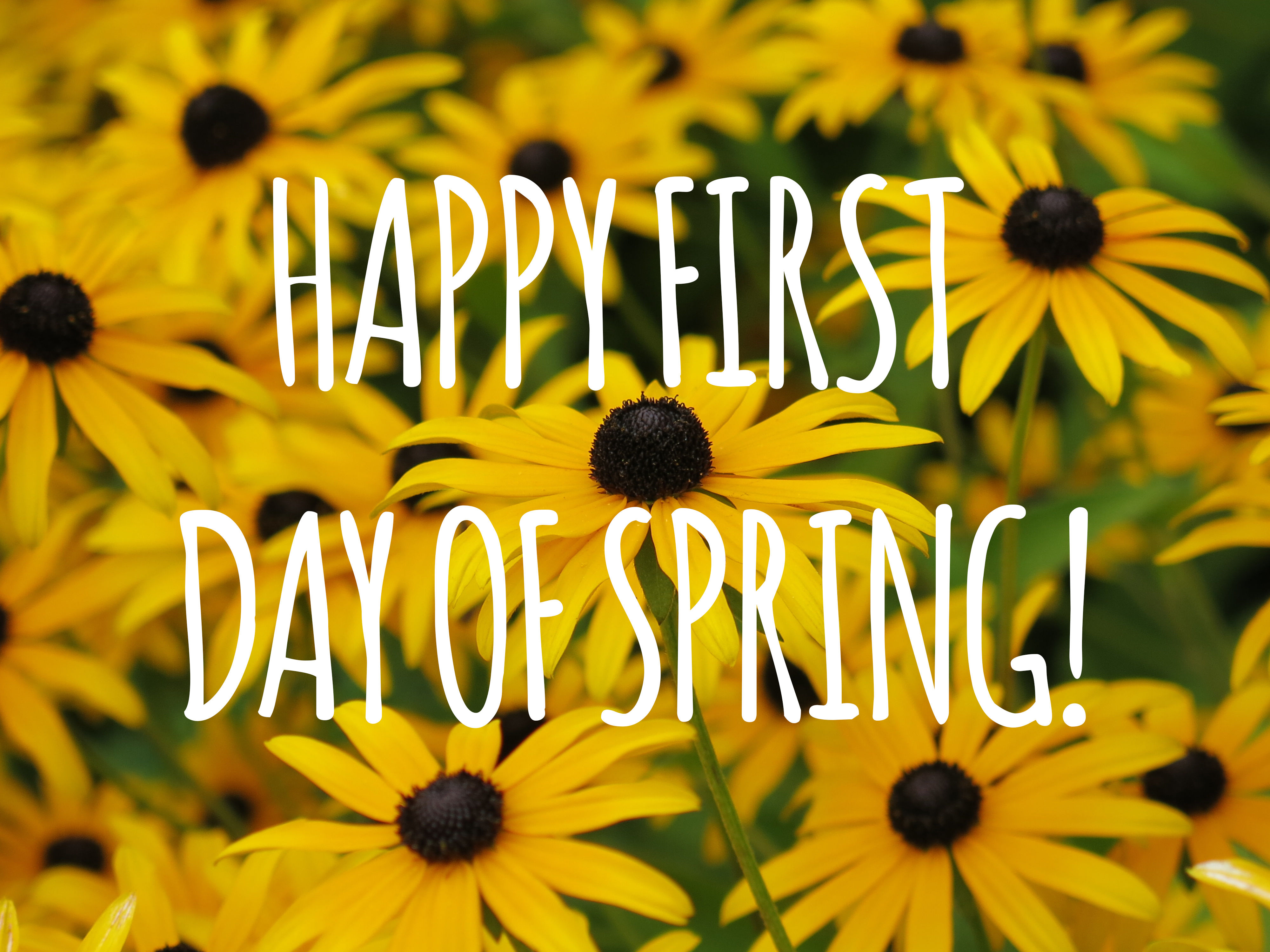 Free Download Happy First Day Of Spring Pictures Photos And Images For