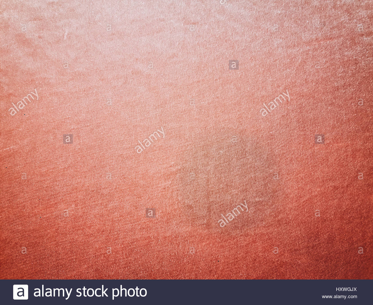 [28+] Rotting Wallpaper | WallpaperSafari