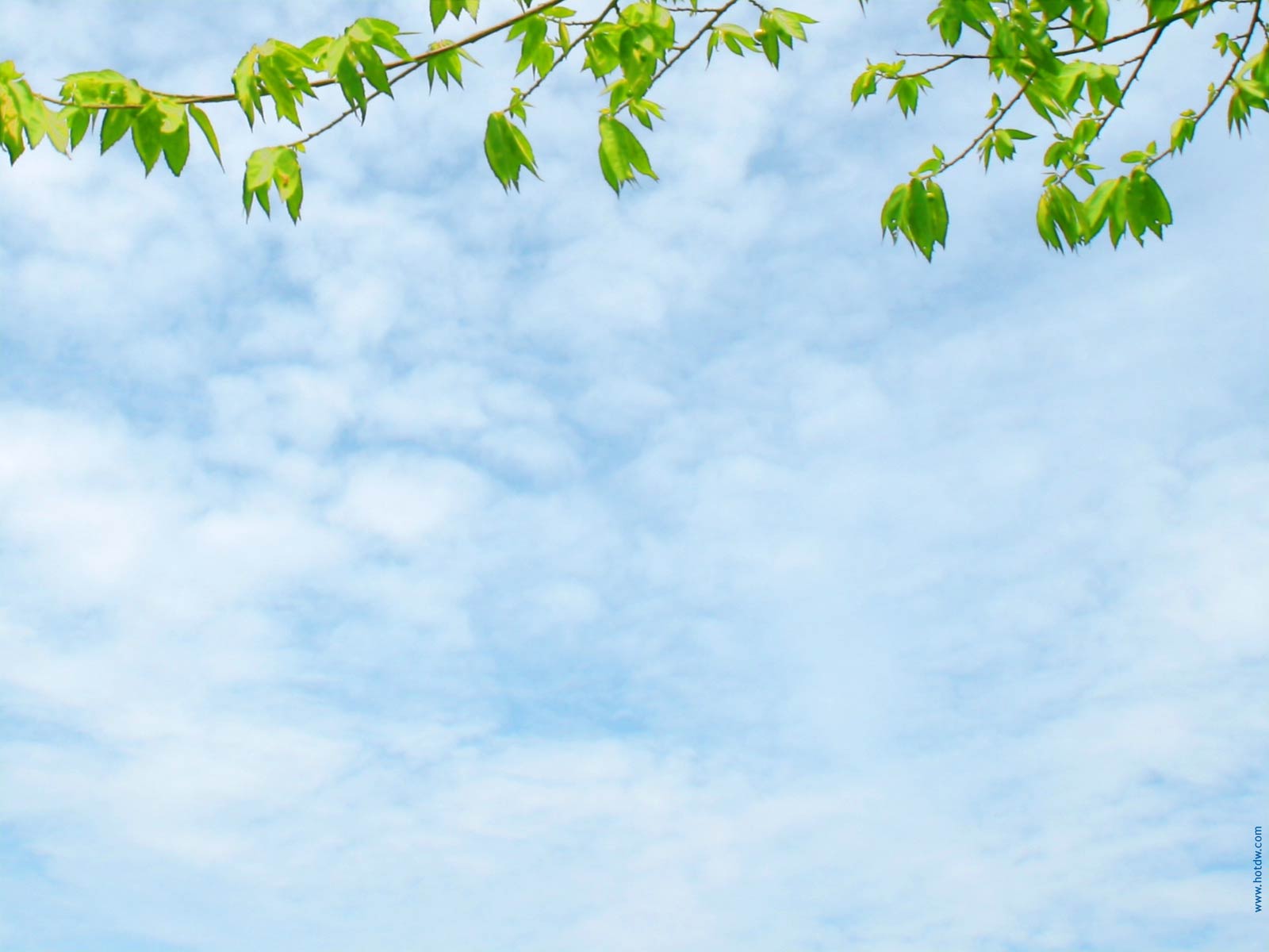 Free Download Sky Nature Backgrounds WallpapersPowerpointnaturebackgroundsjpg 1600x1200 For 