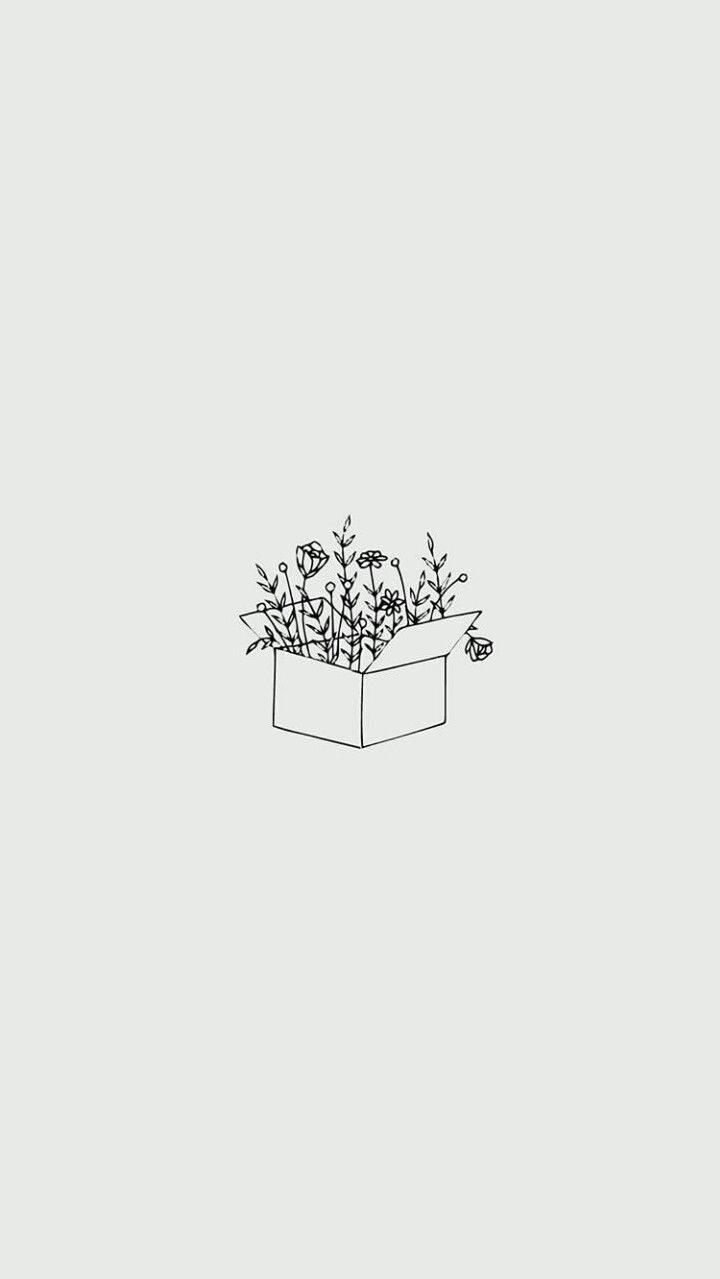 🔥 Download Minimalist Aesthetic Box Filled With Flowers Wallpaper by ...