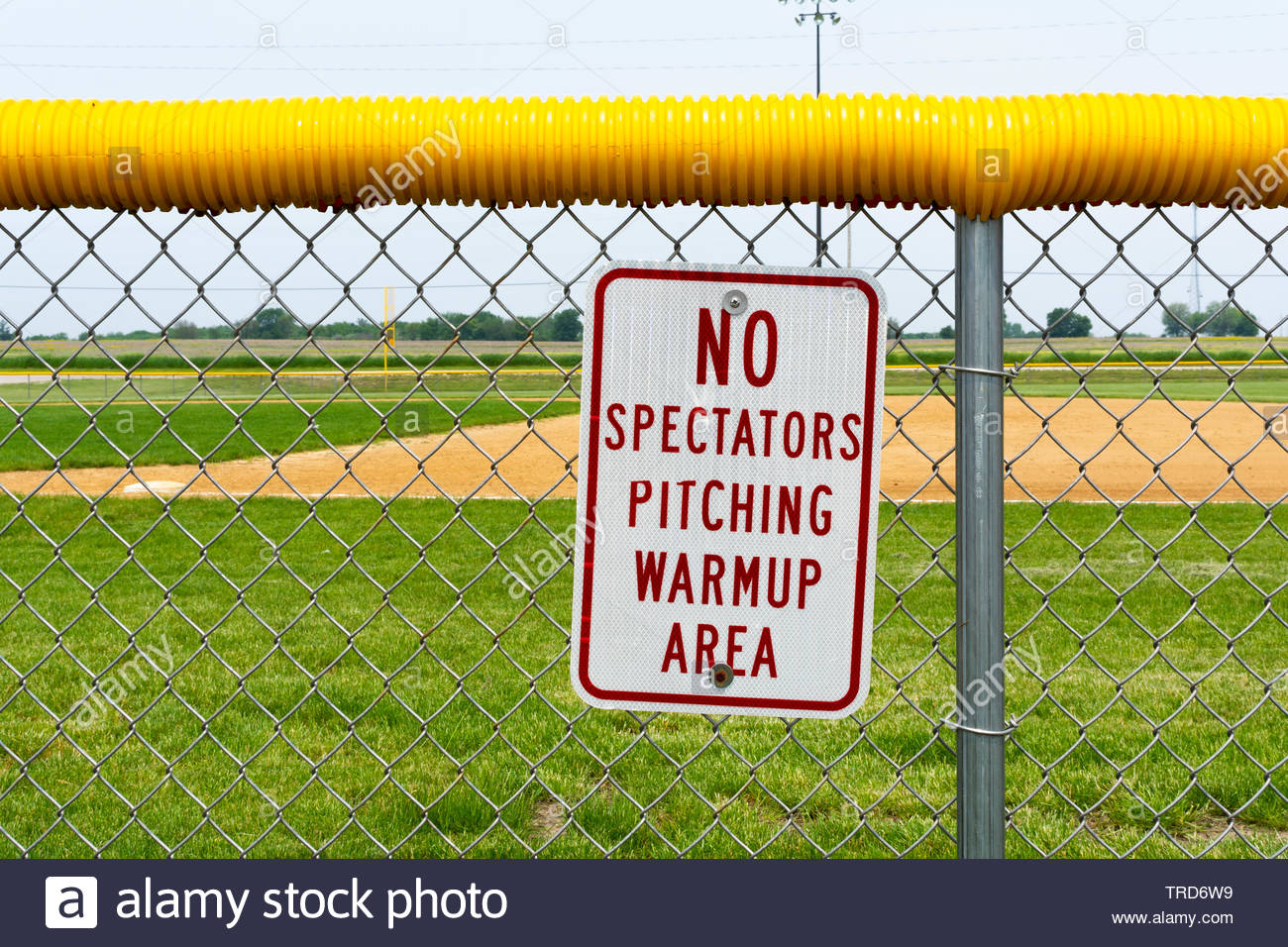 [30+] Spectator Background - WallpaperSafari