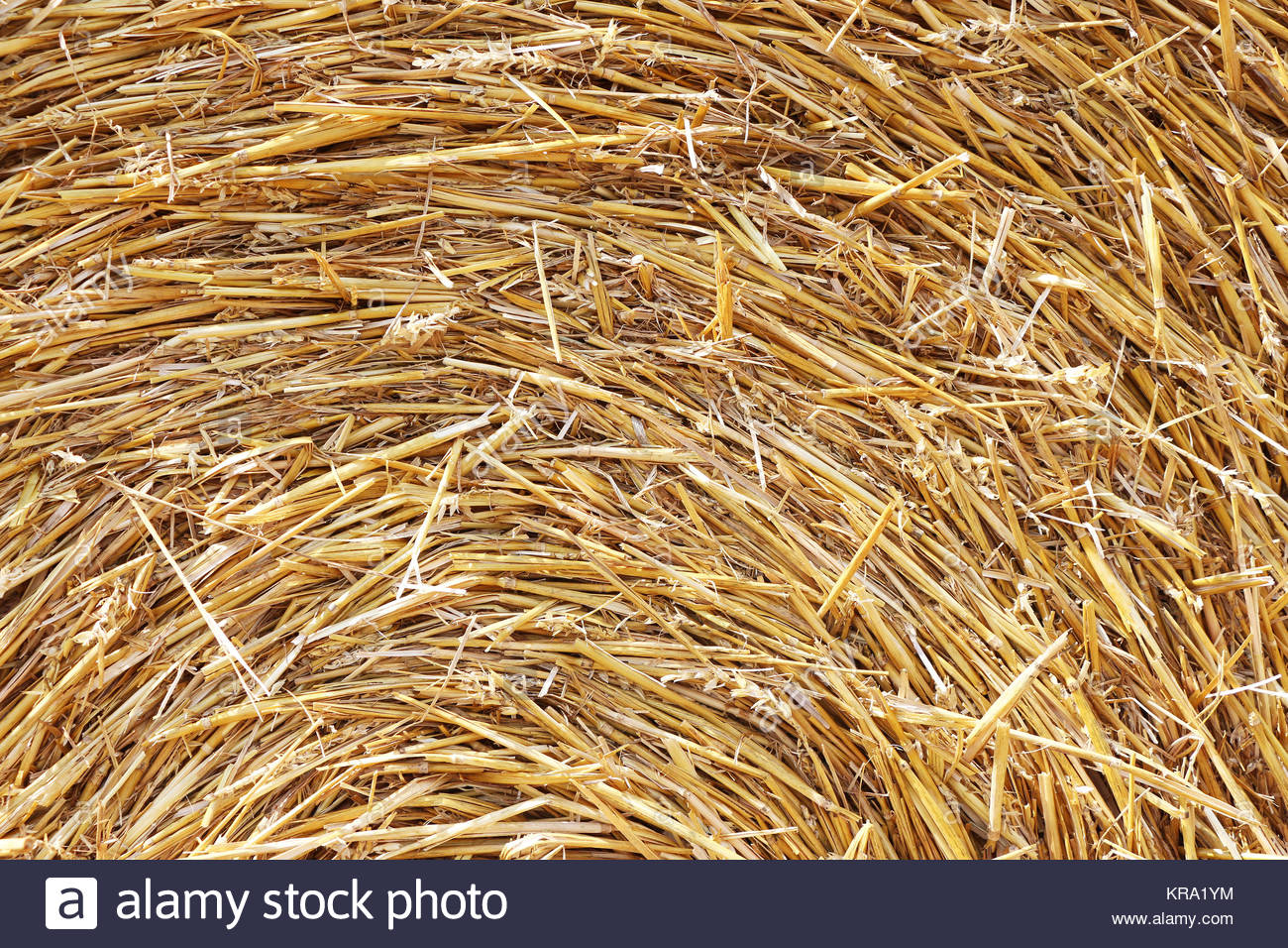 [35+] Haystack Background | WallpaperSafari