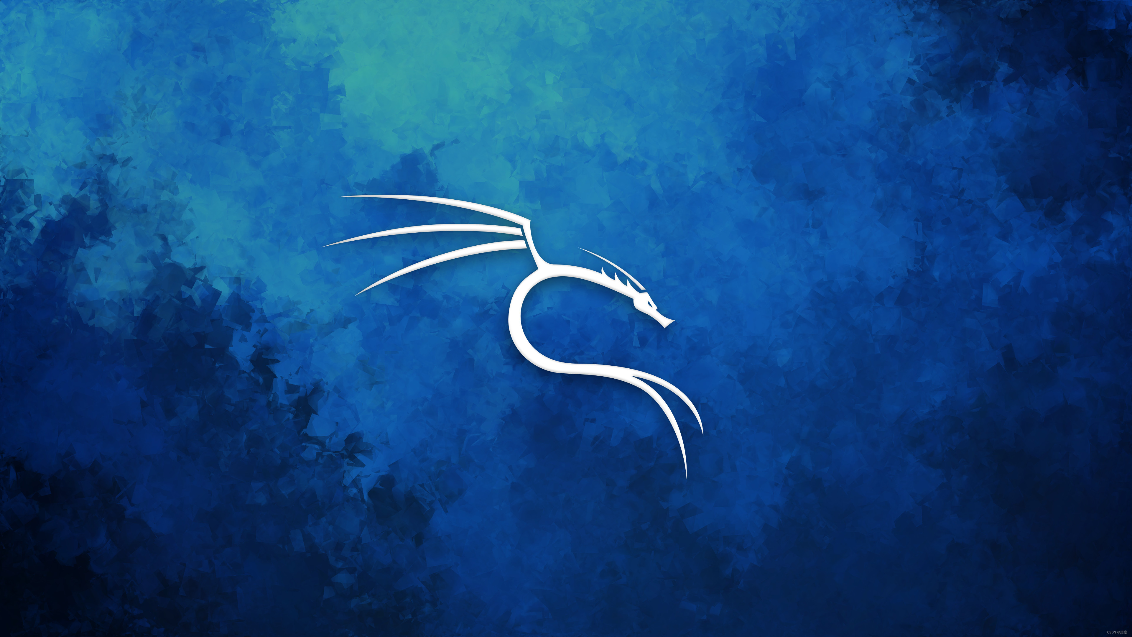 🔥 [50+] Kali Linux Wallpapers | WallpaperSafari