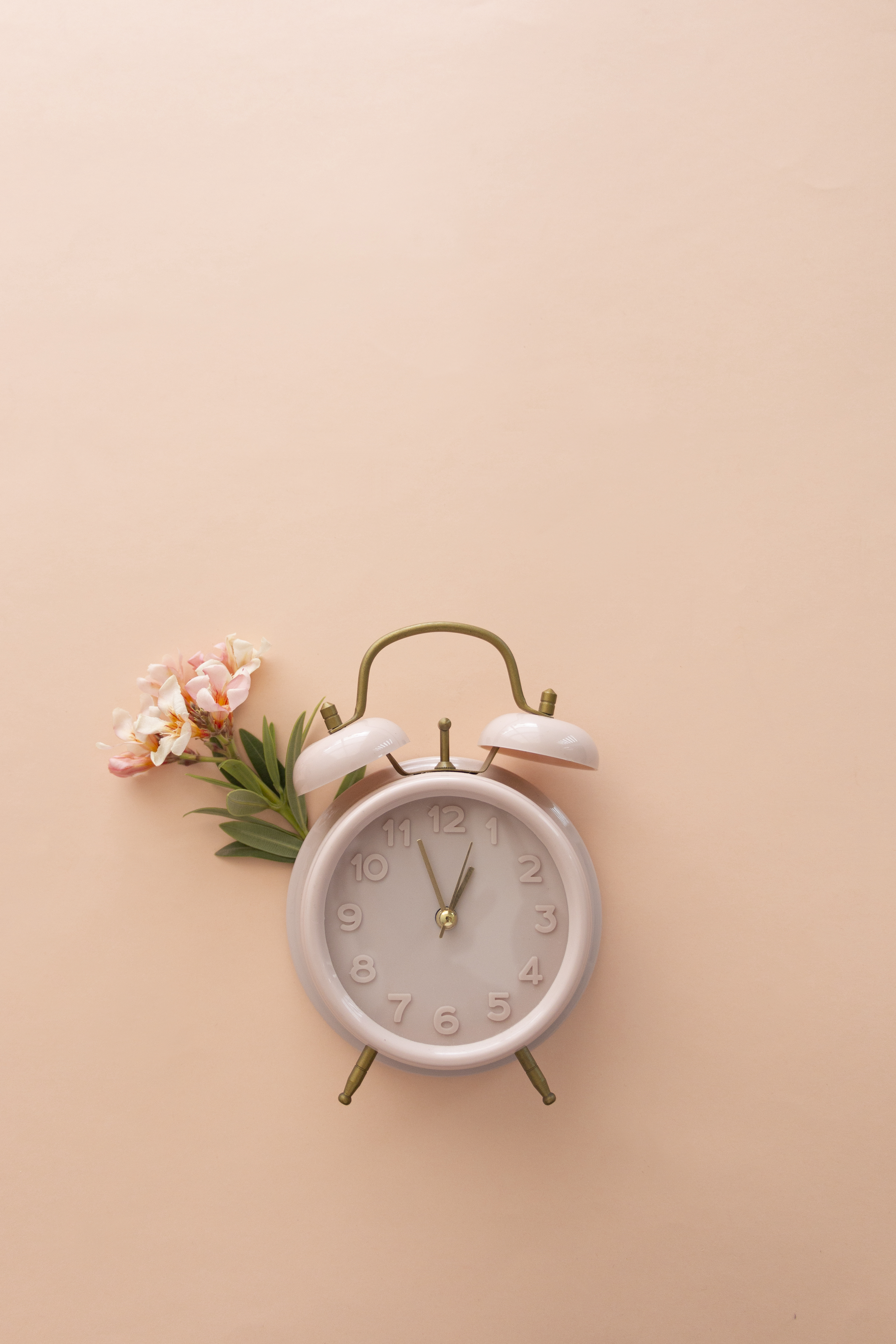 🔥 Free Download Retro Clock With Flower On Pastel Background Stock ...