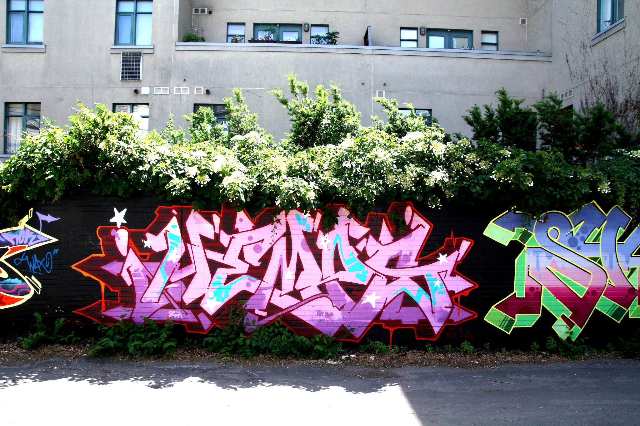 🔥 Free download File Name HD Graffiti Wallpapers Download Free ...