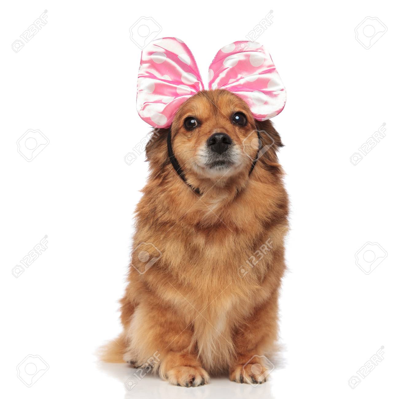 [26+] Metis Background | WallpaperSafari.com