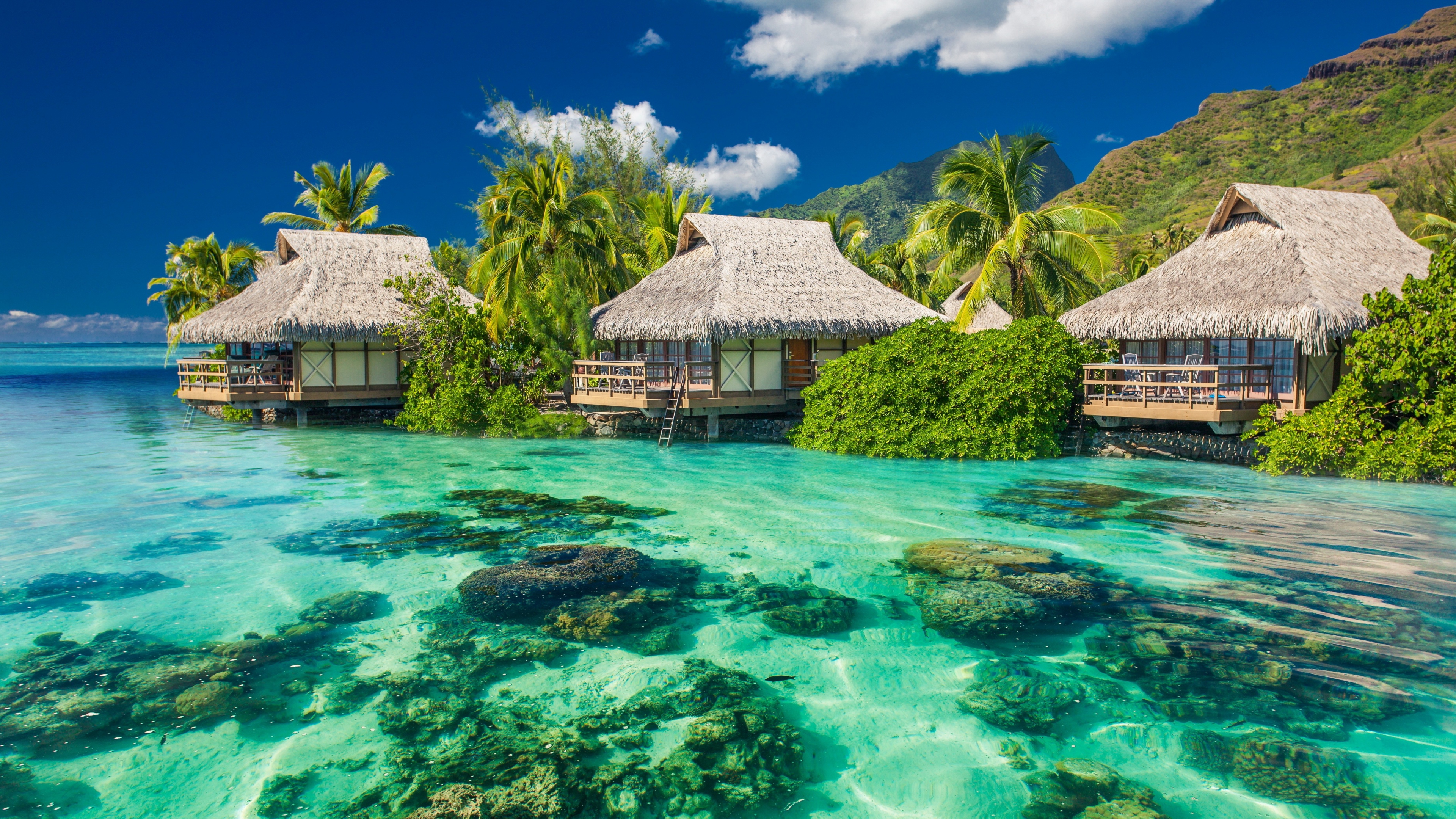Free Download Hd Wallpaper 4k Ultra Hd Beach 4k 3840x2160 Download HD Free Download Hd Wallpaper 4k Ultra Hd Beach 4k 3840x2160 Download HD