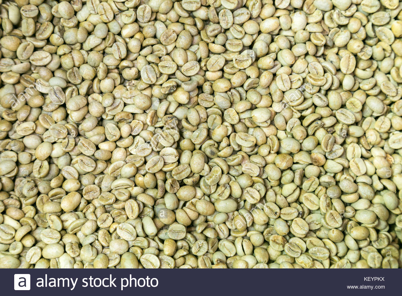 [44+] Roster Background | WallpaperSafari