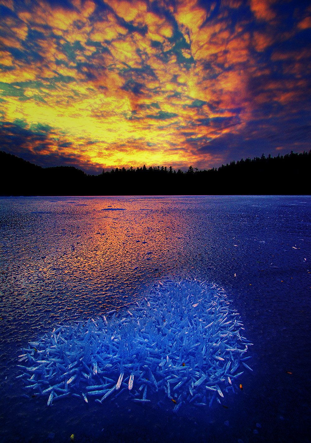 🔥 [40+] Ketchikan Wallpapers | WallpaperSafari