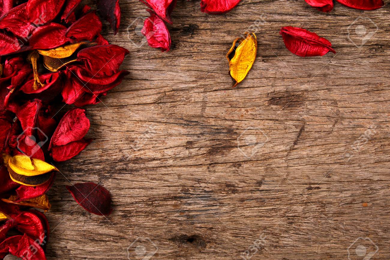 🔥 [41+] Potpourri Background | WallpaperSafari