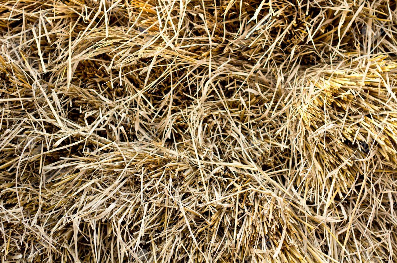 [35+] Haystack Background | WallpaperSafari