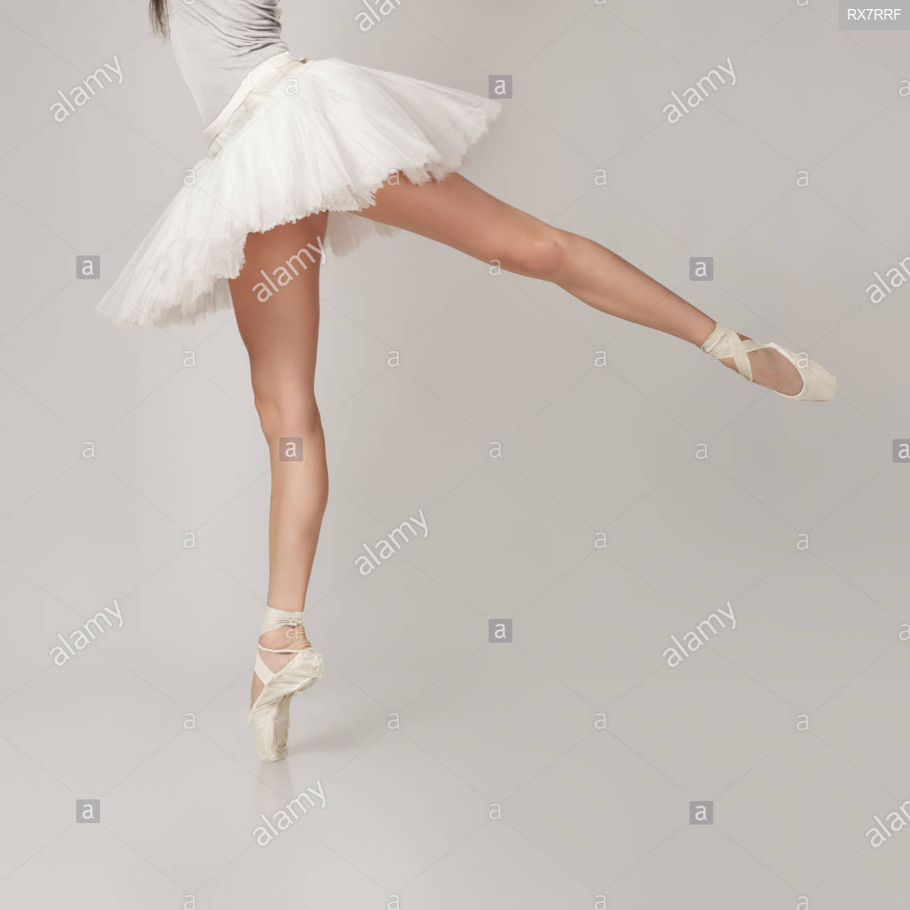 [31+] Tutu Backgrounds | WallpaperSafari