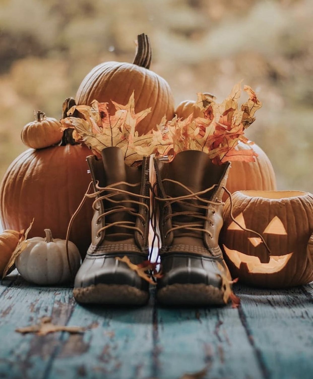 🔥 Free Download Fall Inspo Autumn Inspiration Picture Photos October ...