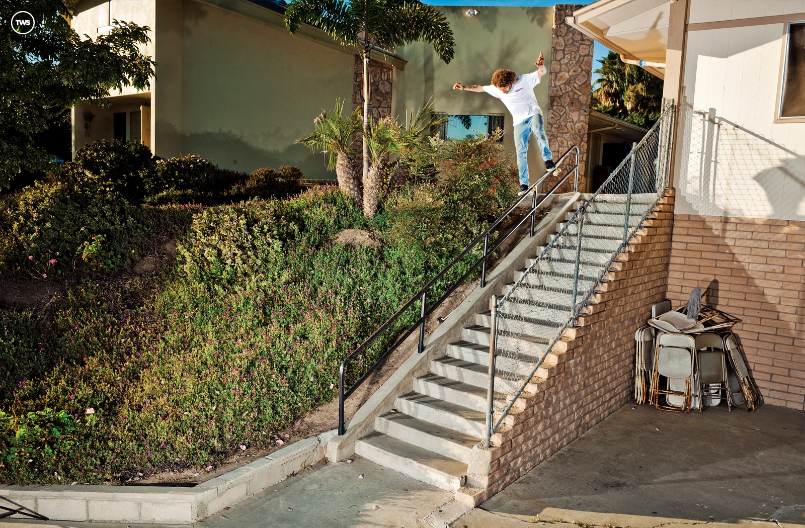 🔥 Free Download Wednesday Wallpaper Tommy Sandoval Transworld ...