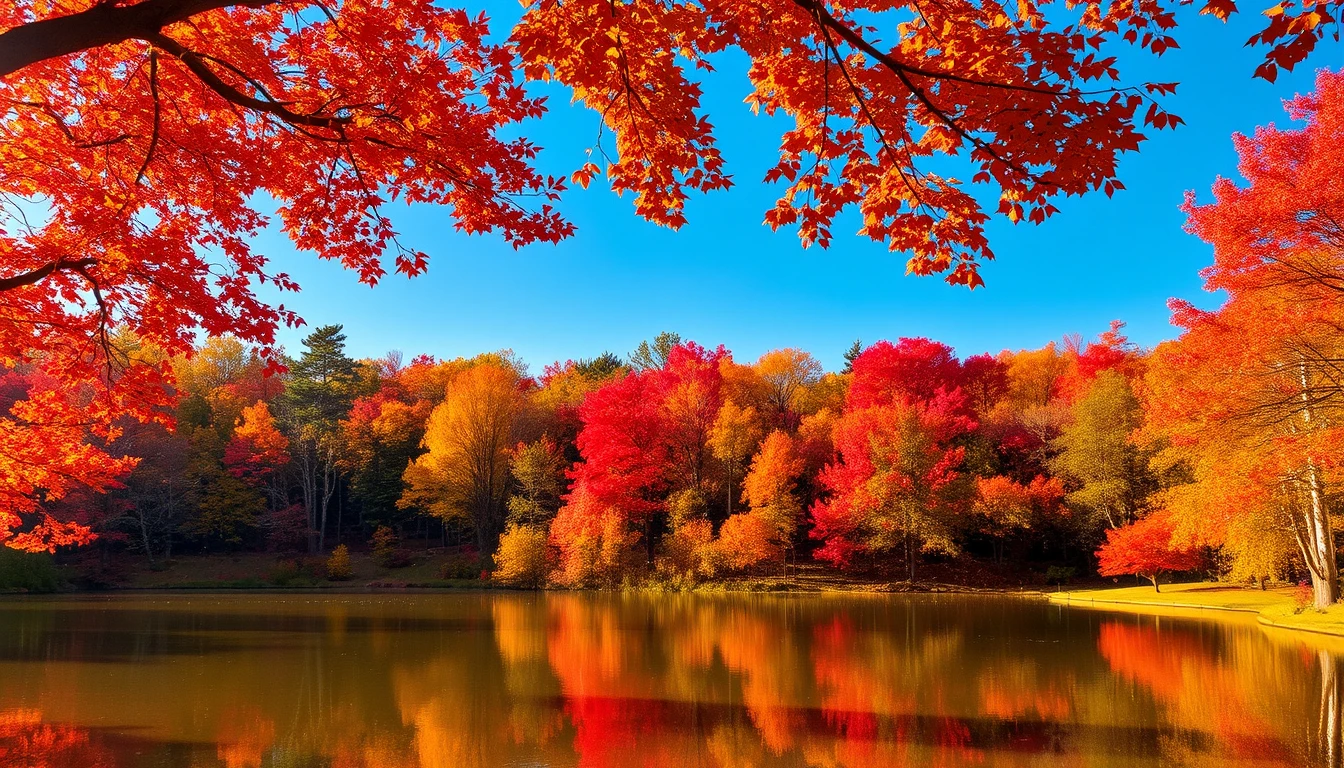 🔥 Free Download Beautiful Autumn Wallpaper by @ricardomueller ...