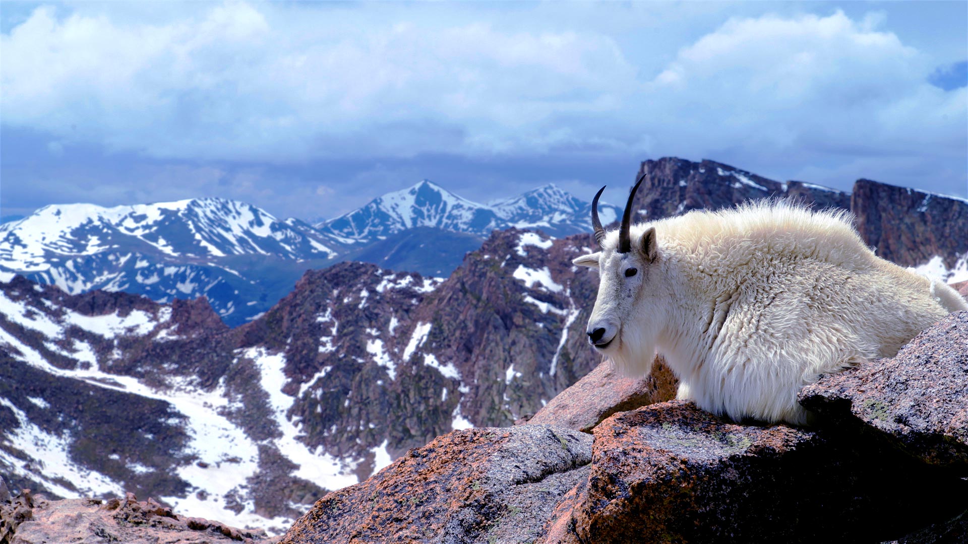 Free download 1366x768 Light 7Vibr100Sh50SIanjpg another nice BING ...